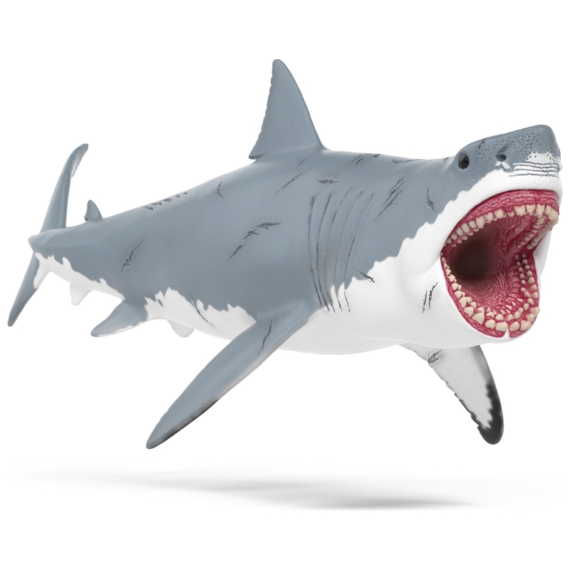 Megalodon Haai Vs T Rex Wat Is Het Grootste Roofdier Dat Ooit In