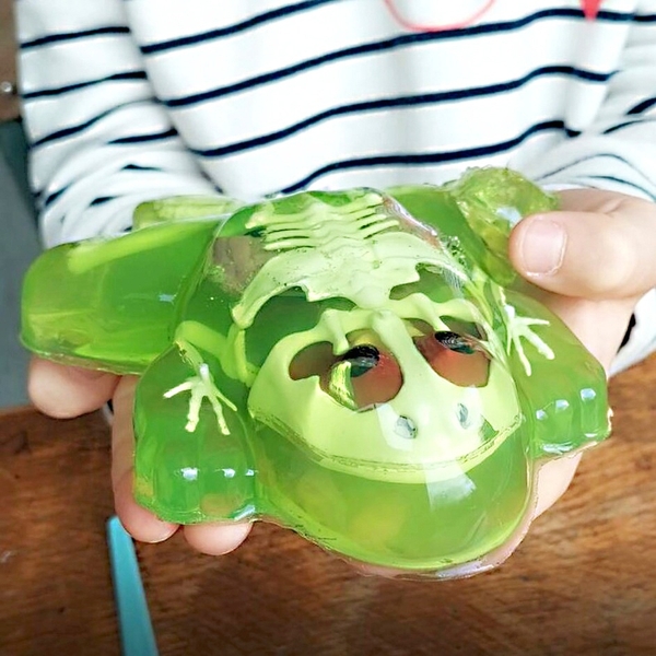 Dissect-it Anatomy Kit Super Lab Frog | Smyths Toys UK