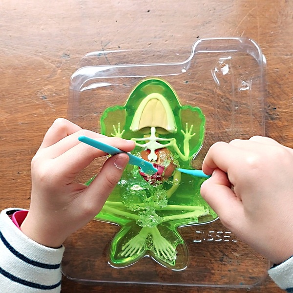 Dissect-it Anatomy Kit Super Lab Frog | Smyths Toys UK