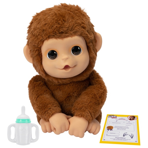 Little Live Pets My Baby Monkey Mango Plush Toy | Smyths Toys UK