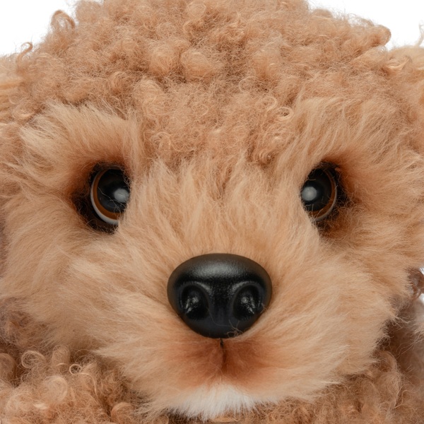 Little Live Pets My Really Real Puppy Curley The Cavapoo Plush Toy ...