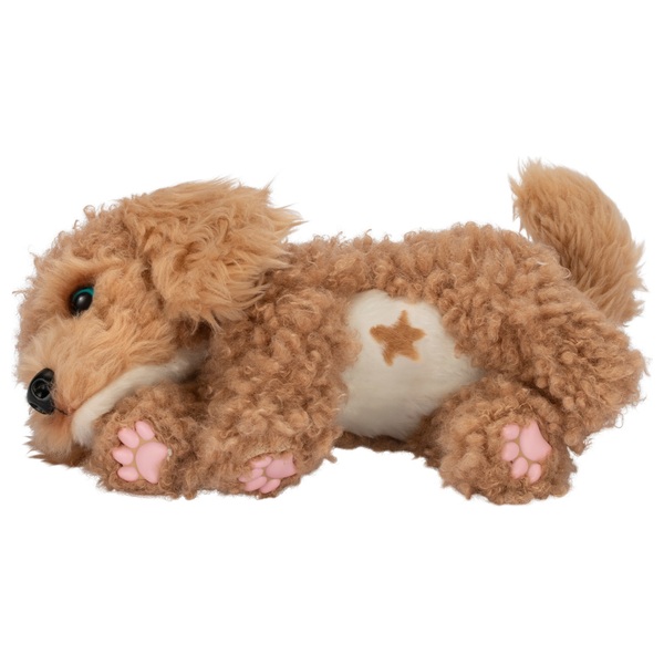 Little Live Pets My Really Real Puppy Curley The Cavapoo Plush Toy ...