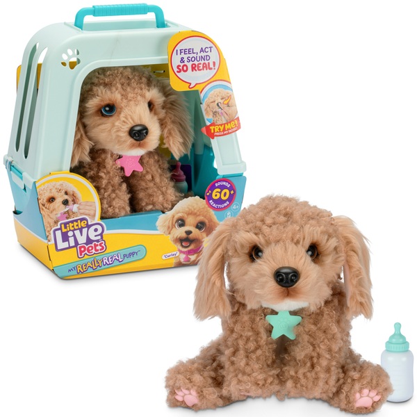 Little Live Pets My Really Real Puppy Curley The Cavapoo Plush Toy ...