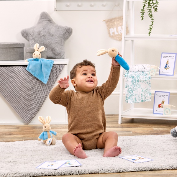 Peter Rabbit Baby Keepsake Box and Soft Toy Memories Gift Set | Smyths ...