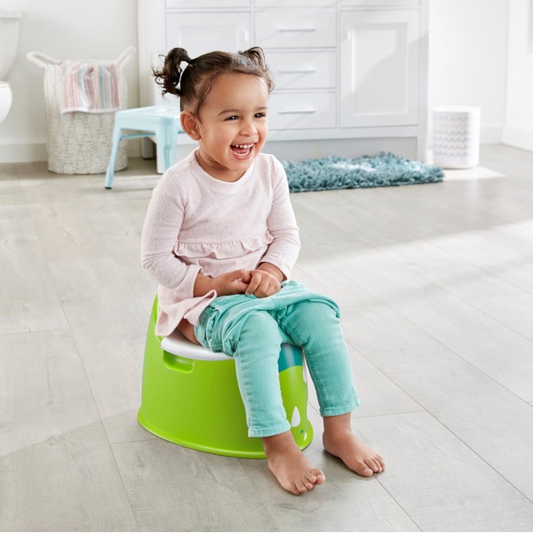 Fisher-Price Potty Training Seat with Removable Bowl | Smyths Toys Ireland