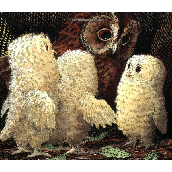 Owl Babies Paperback Book by Martin Waddell | Smyths Toys UK