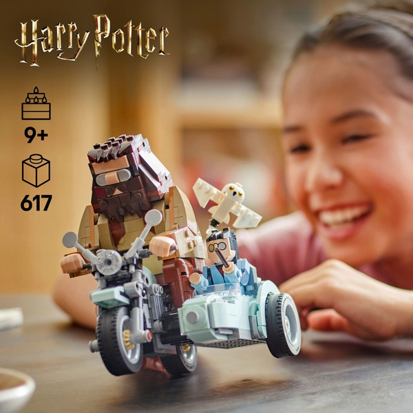 LEGO Harry Potter 76443 Hagrid & Harry's Motorcycle Ride Set | Smyths ...