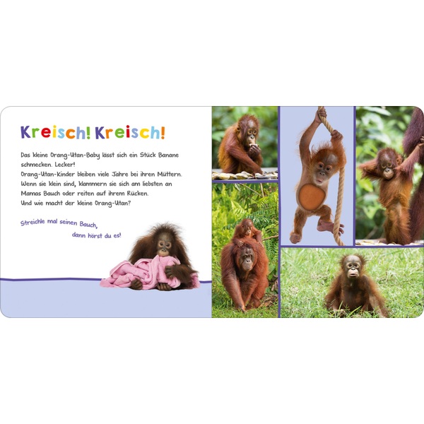 Kinderbuch Hör mal rein, wer kann das sein? Bücher mit Geräuschen ...