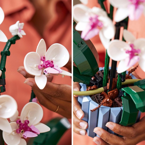LEGO Botanicals 10311 Orchidee | Smyths Toys Österreich