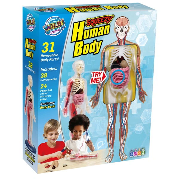 Body Anatomy Toys