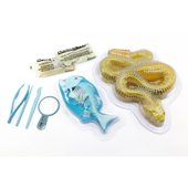 Dissect-it Anatomy Kit Mega Lab Rattlesnake and Piranha | Smyths Toys UK