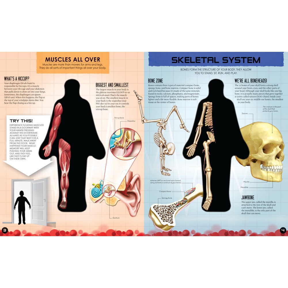 Inside Out Human Body Learning Book | Smyths Toys UK