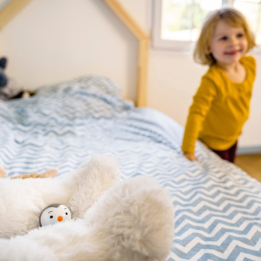 Nathan - Cache Cache T'choupi | Smyths Toys France